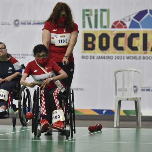 Development Webinars – World Boccia